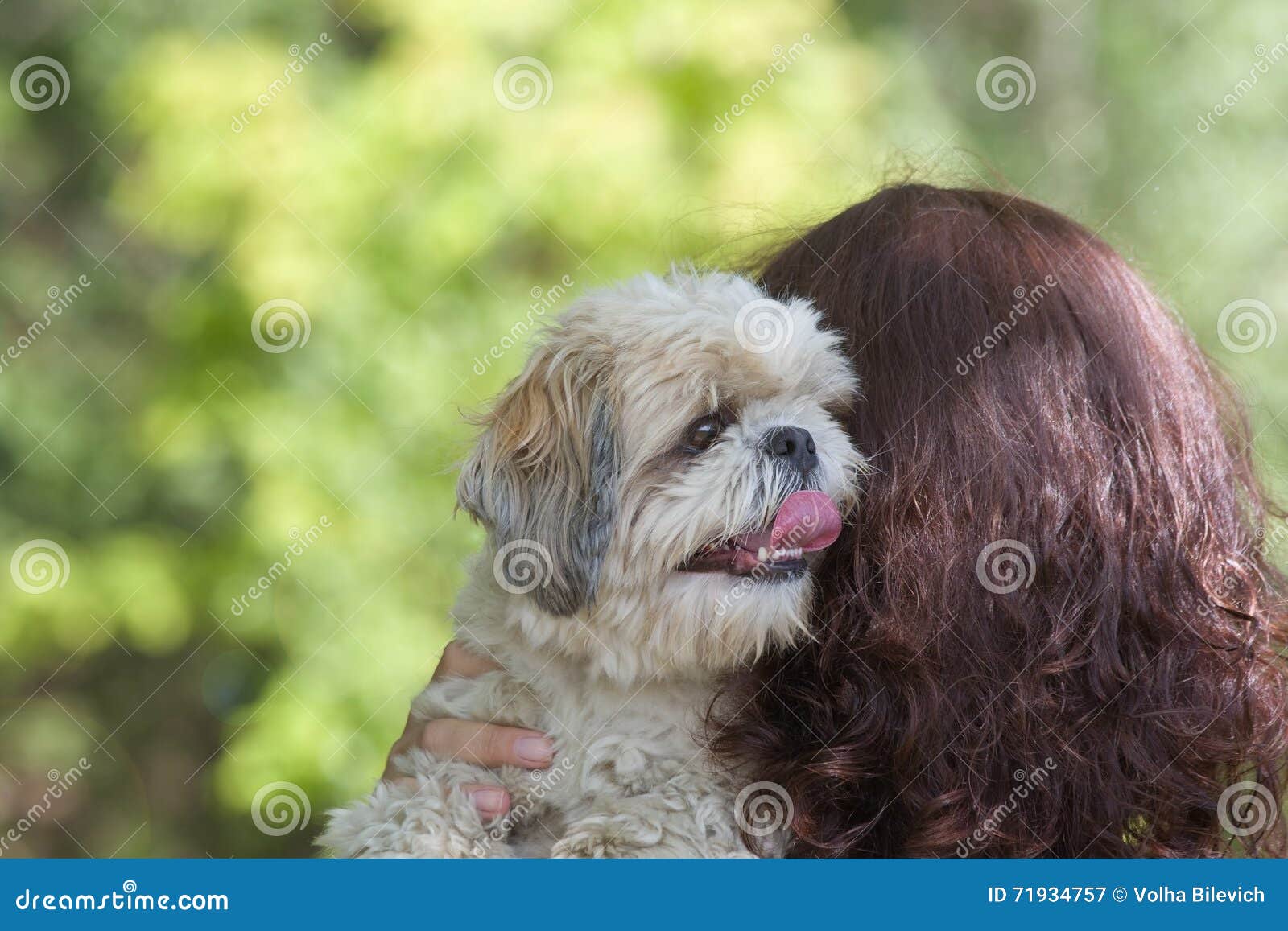 Dog and Its Owner are the Best Friends Stock Image - Image of enjoyment ...