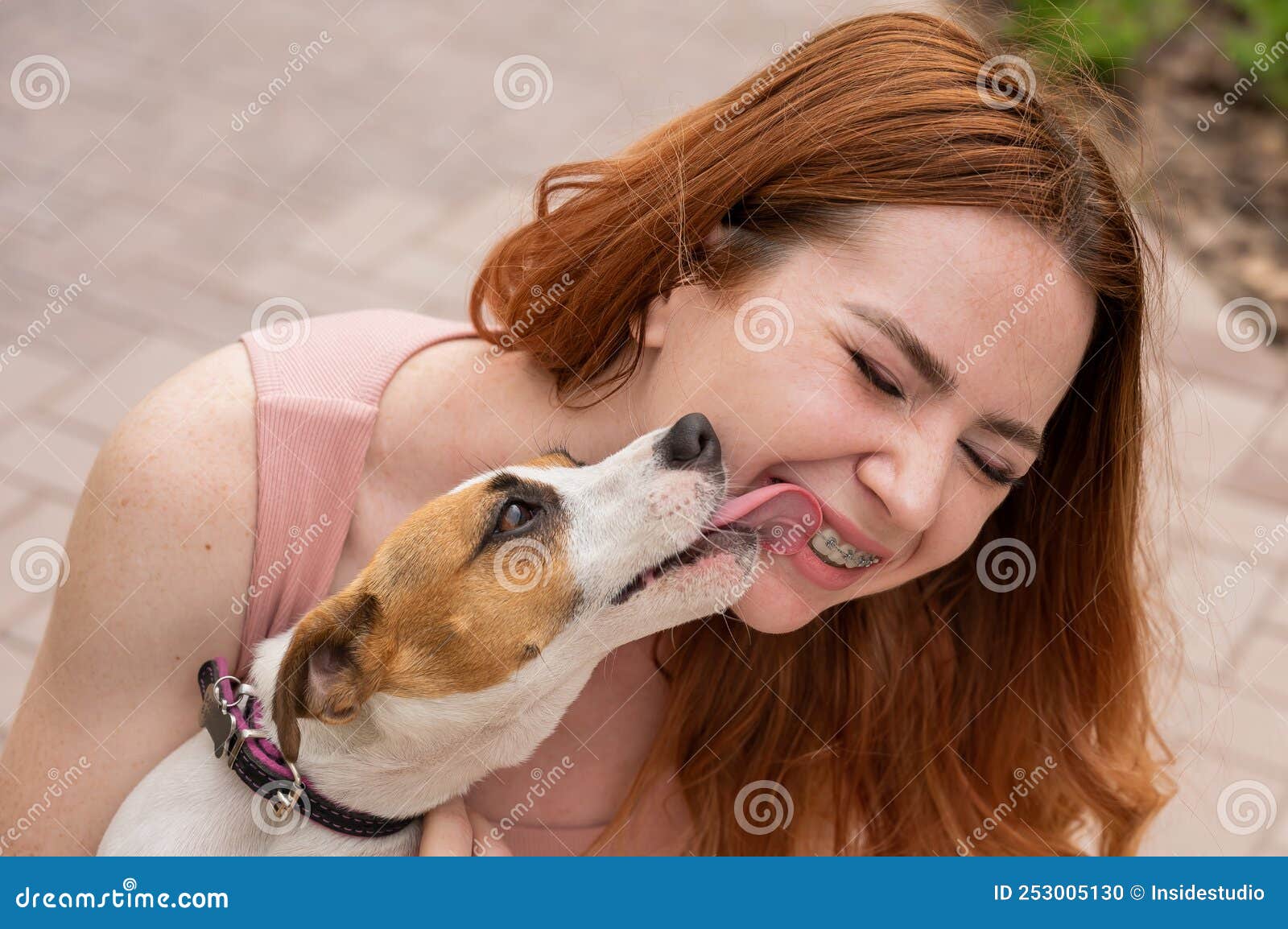 Dog Jack Russell Terrier Licks the Owner in the Face Outdoors. Stock ...