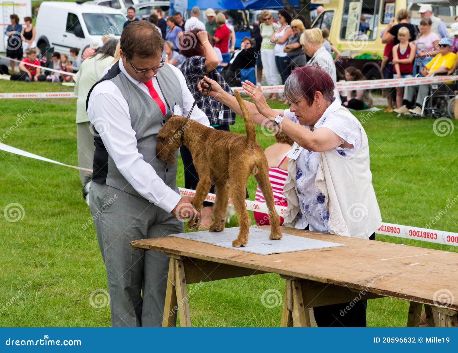 Dog Judging at Cartmel Show 2011 Editorial Photography - Image of ...