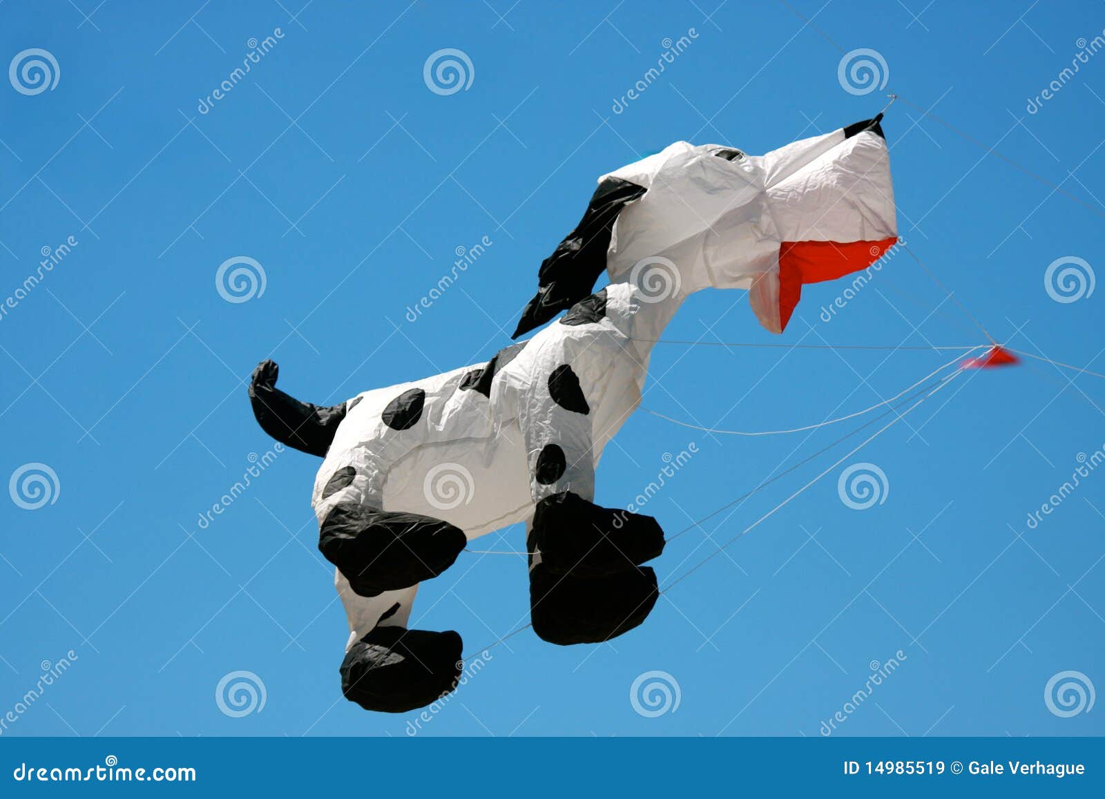 Dog Kite stock image. Image of high, play, spot, spots - 14985519