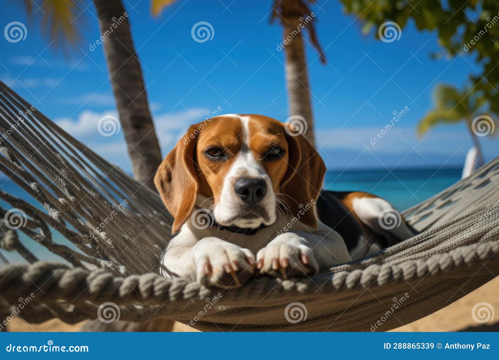 Dog Laid-Back Beagle: Unwinding on Vacation on the Beach. Generative AI ...