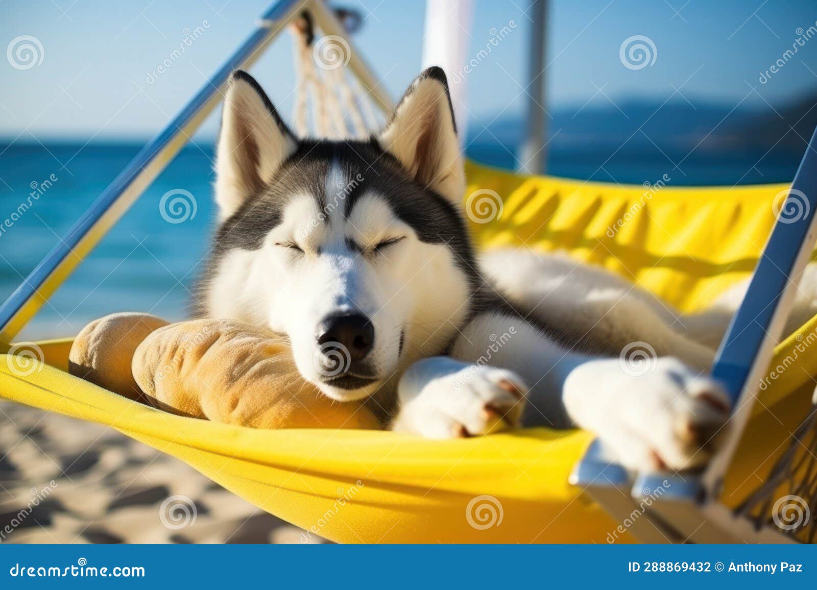 Dog Laid-Back Husky Unwinding on Vacation on the Beach. Generative AI ...