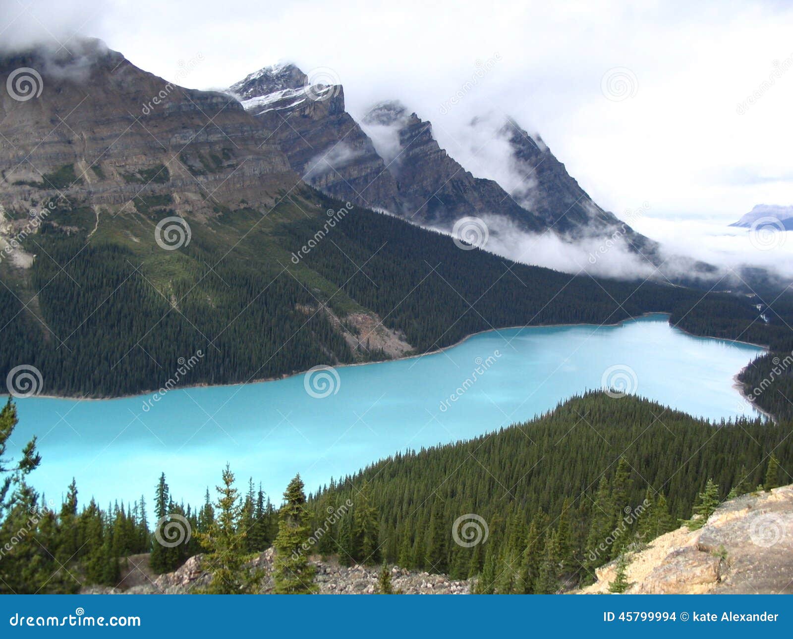 Dog Lake Canada stock photo. Image of meltwater, lake - 45799994