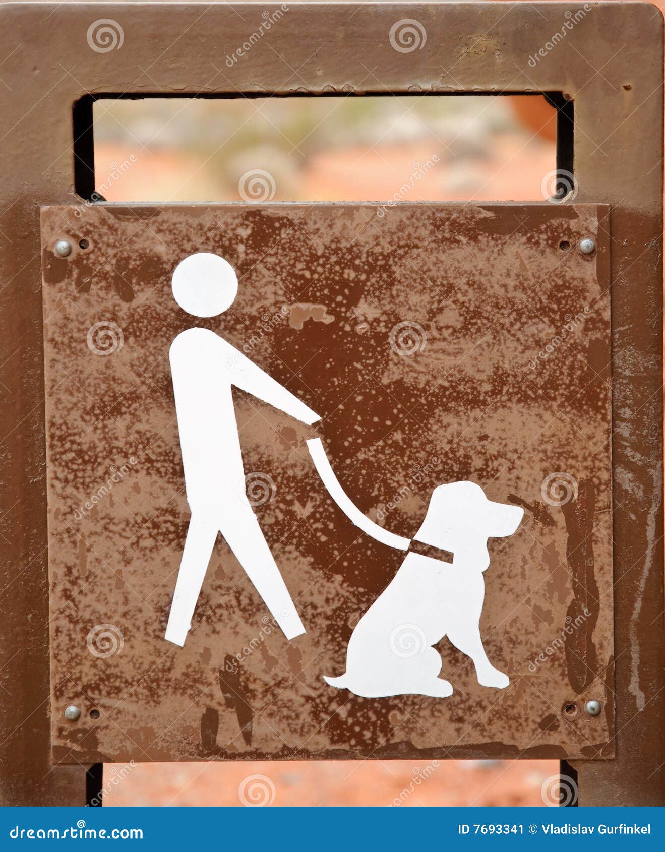 Dog only on leash stock image. Image of closeup, rural - 7693341