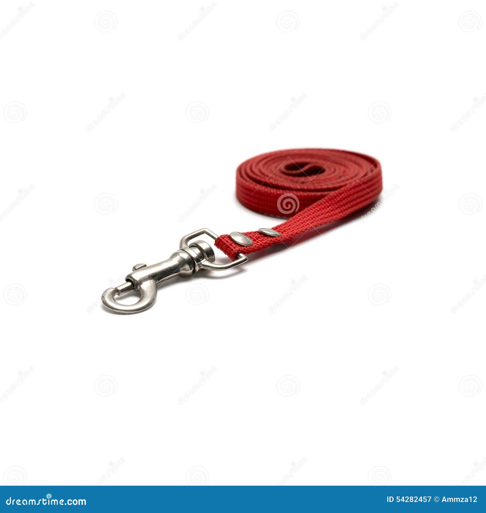 Dog leash stock image. Image of metal, isolated, clip - 54282457