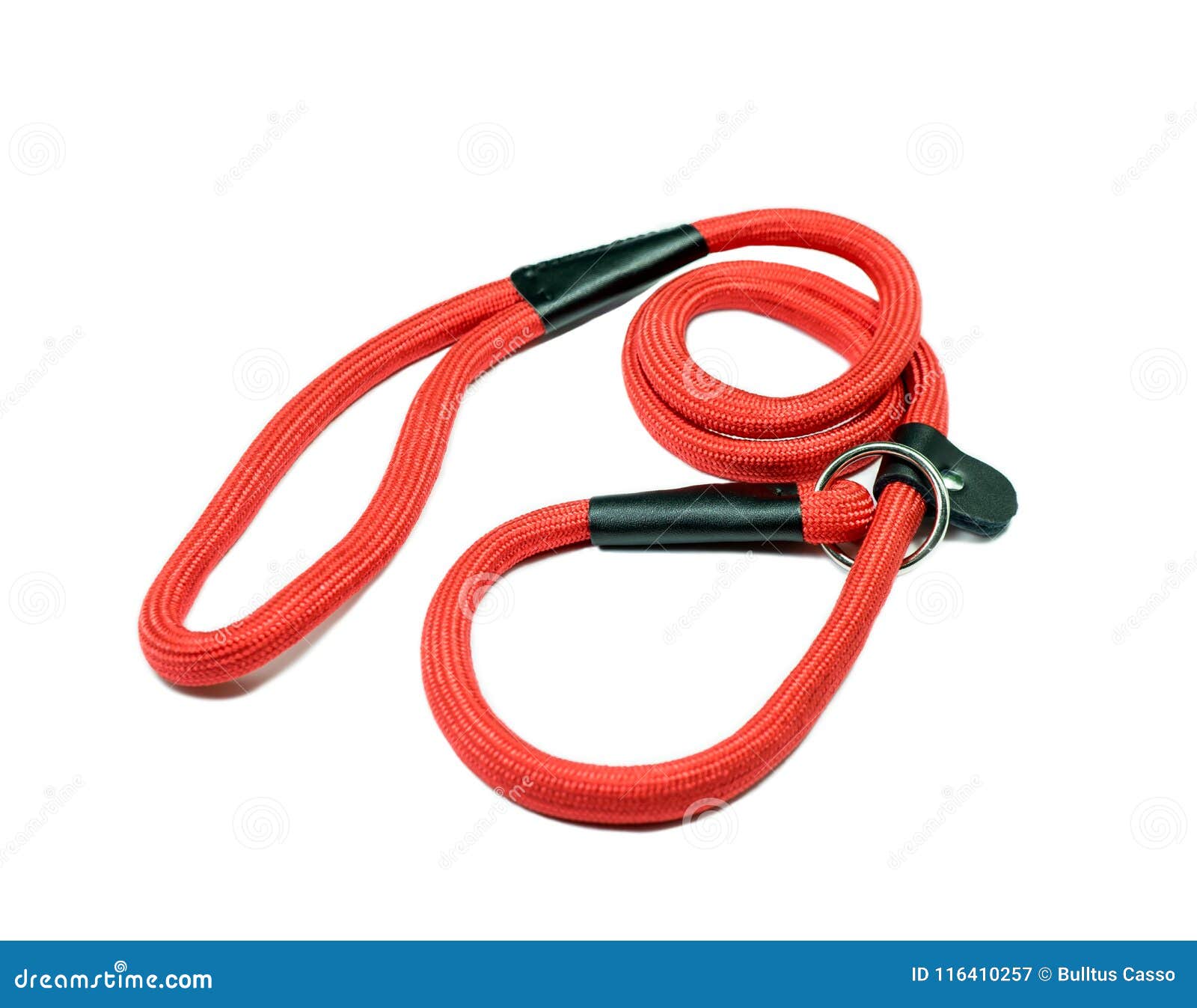Dog Leash for Training on Isolated White Background. Stock Image ...