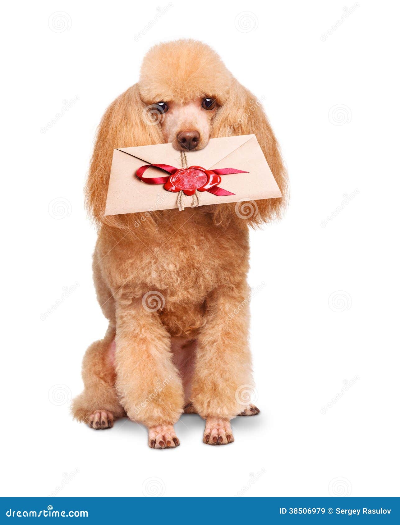 Dog with a letter stock image. Image of philately, message - 38506979