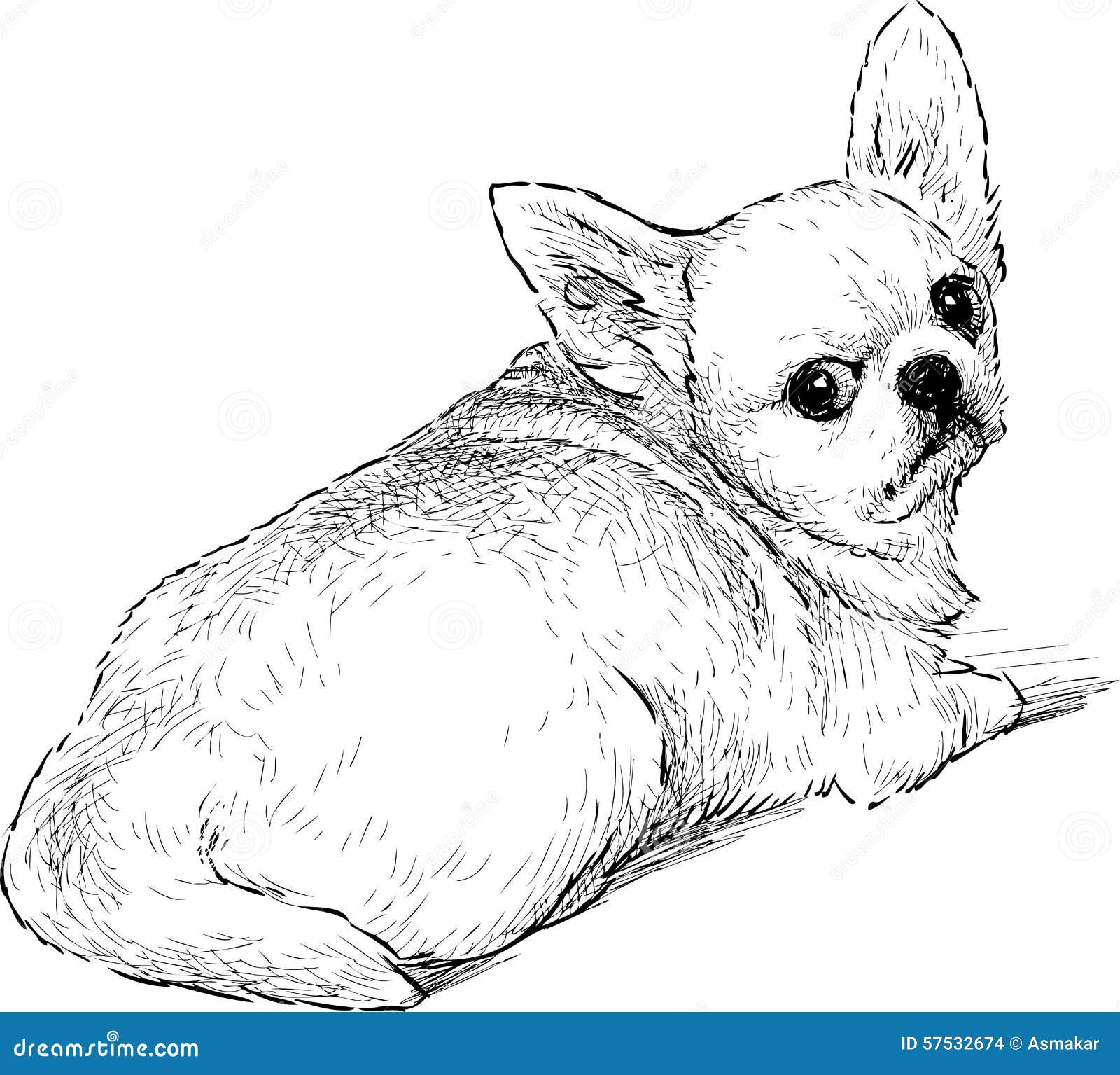 Dog Looking Back Drawing