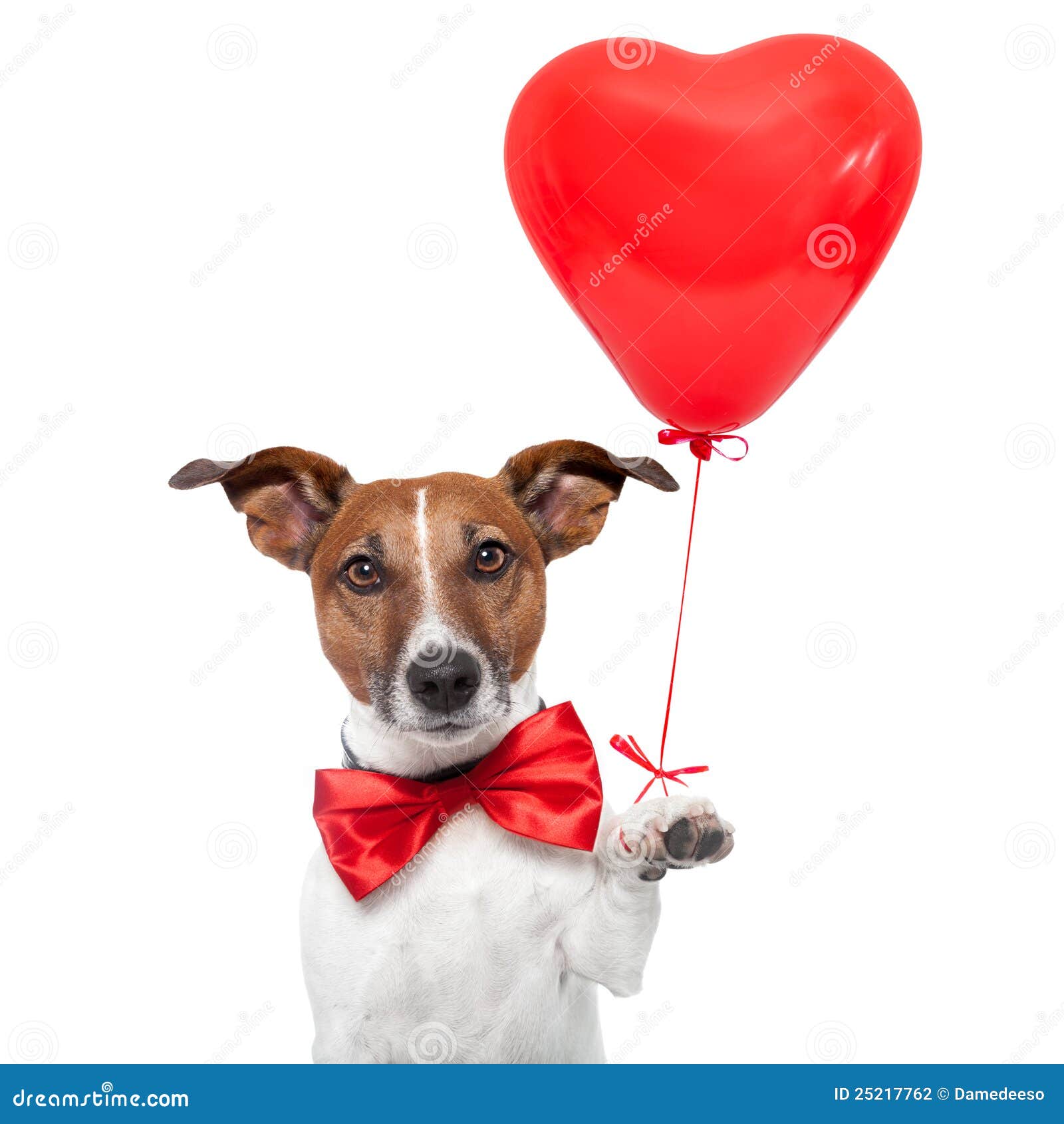 Dog In Love Stock Photography - Image: 25217762