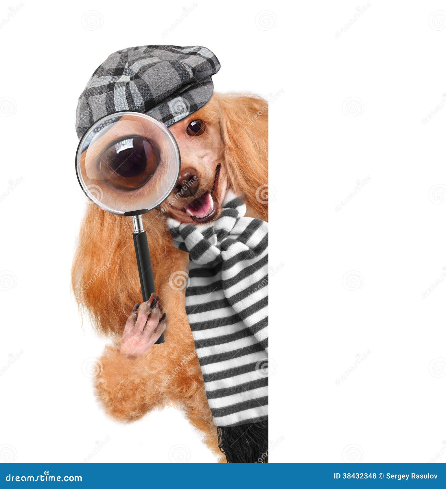 Dog With Magnifying Glass And Searching Stock Photo - Image: 38432348