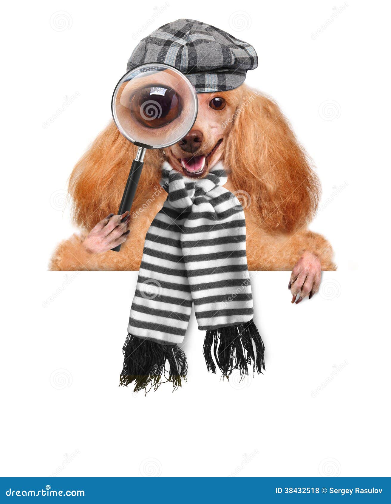 Dog with Magnifying Glass and Searching Stock Photo - Image of looking ...