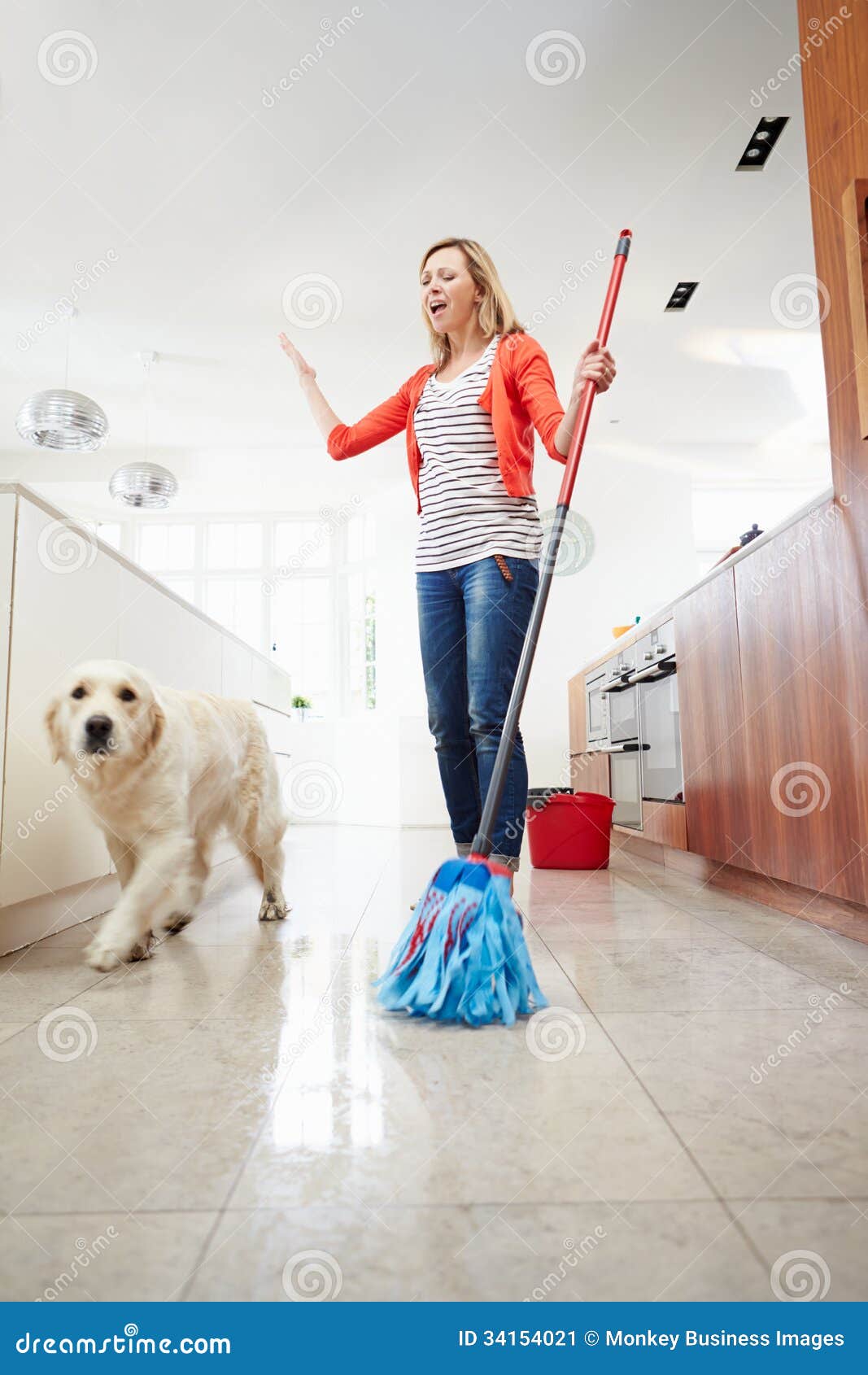 Dog Making Mess of Newly Mopped Floor Stock Image - Image of annoyed ...