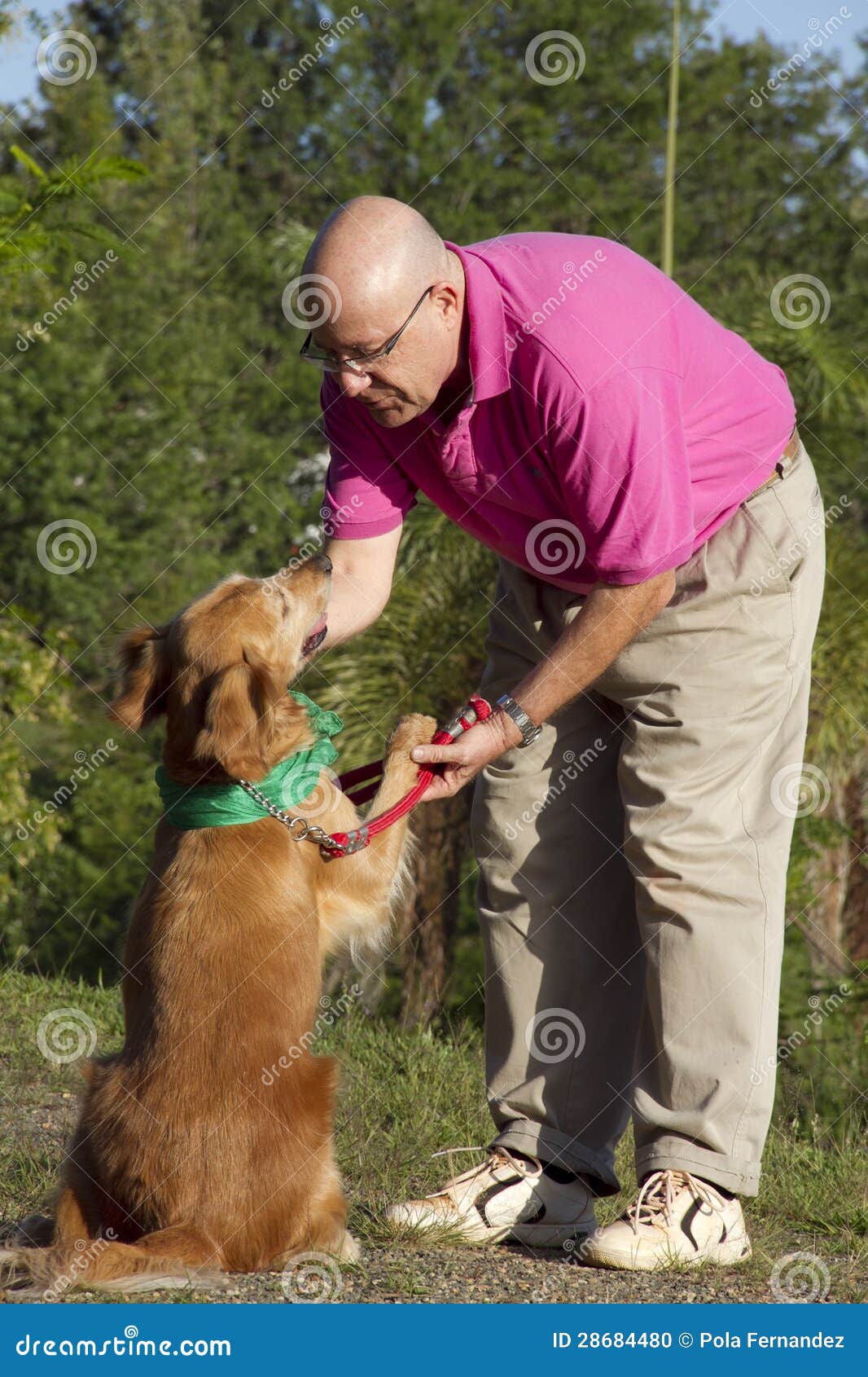 Dog and man friends stock photo. Image of retriever, friend - 28684480