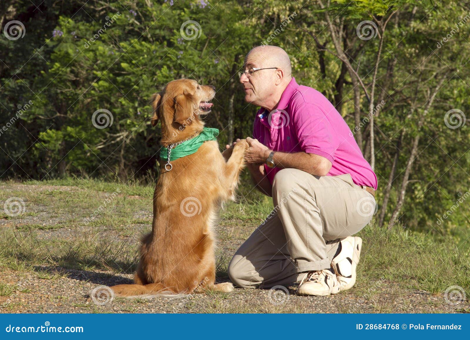 Dog and man friends stock photo. Image of buddy, alsatian - 28684768