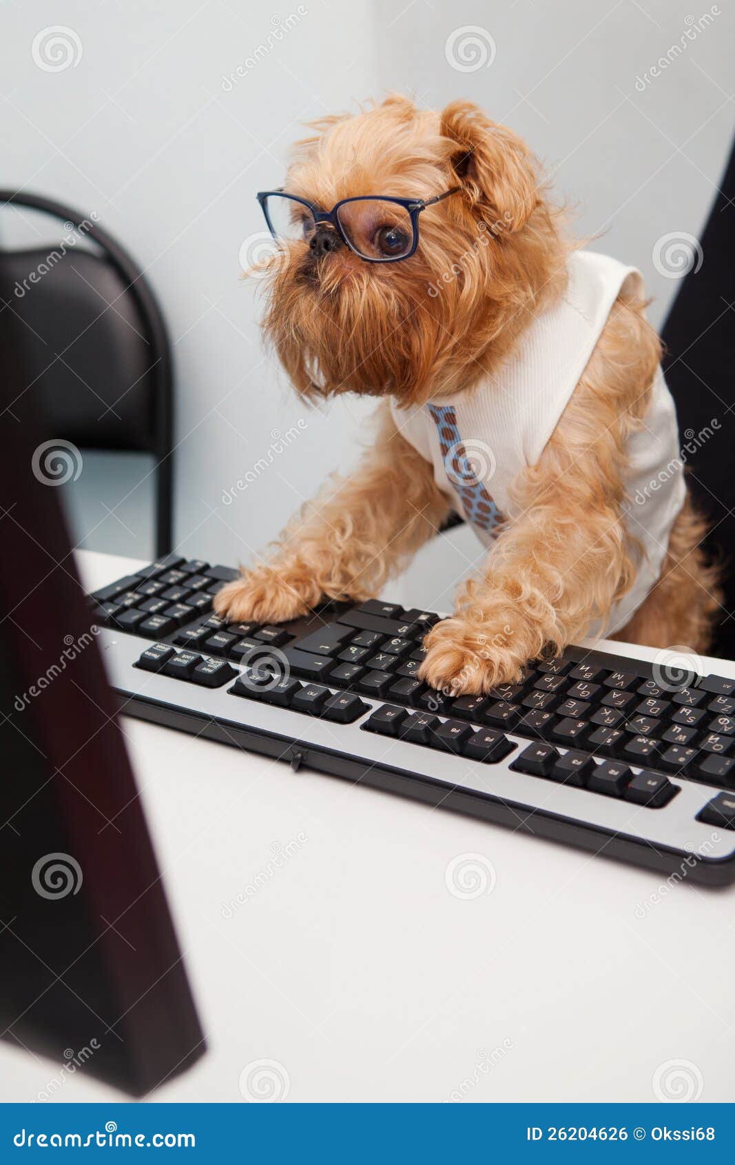 Dog Manager stock photo. Image of occupation, office - 26204626