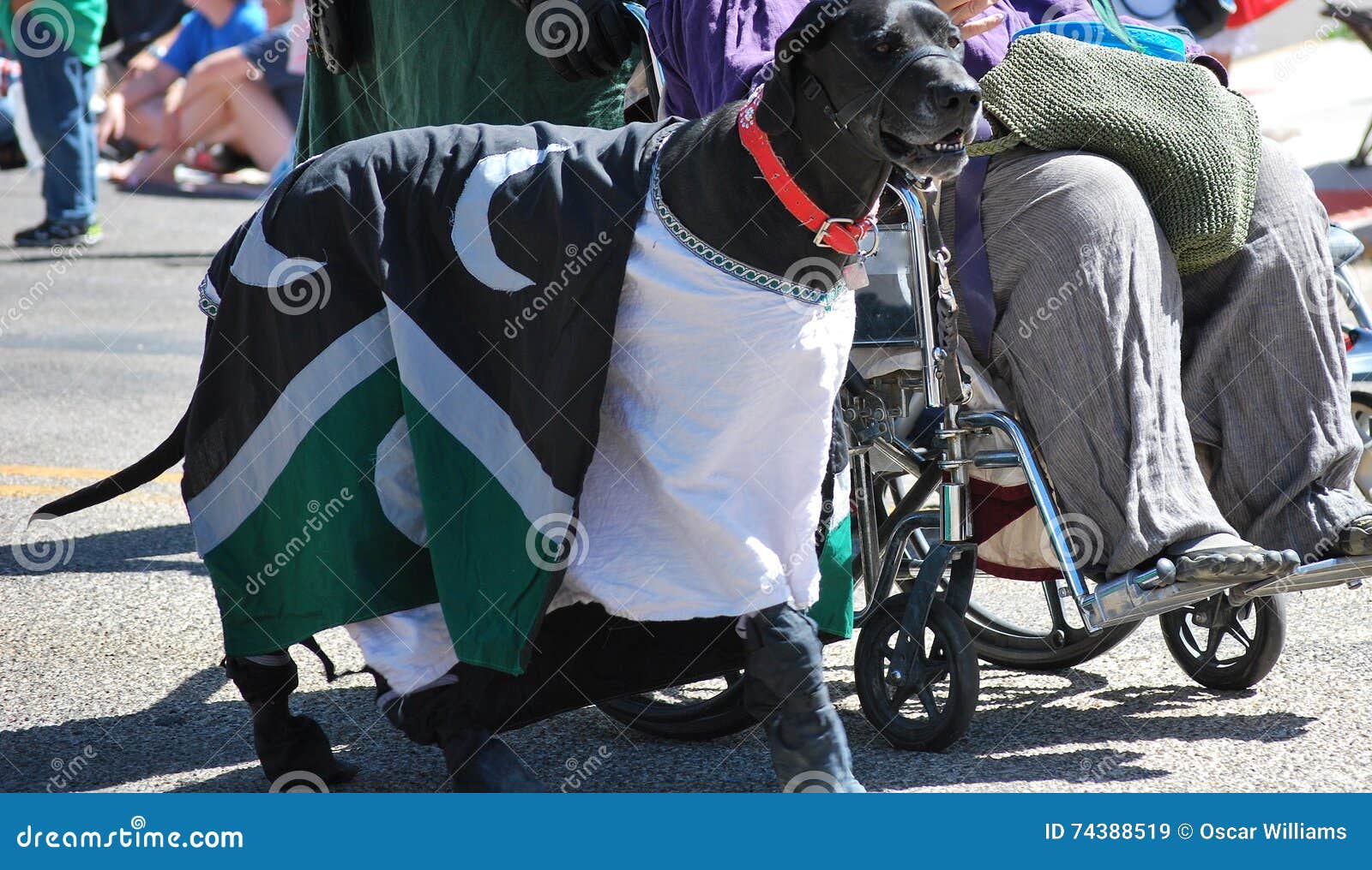 Dog marching in parade. stock image. Image of companion - 74388519