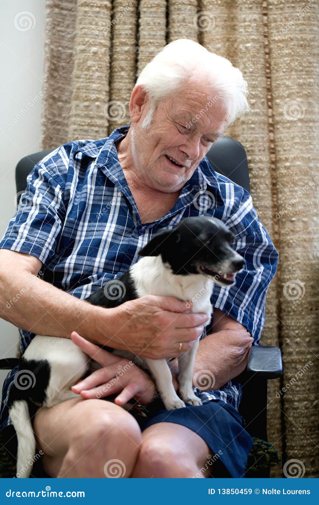 Dog and master stock image. Image of love, portrait, life - 13850459