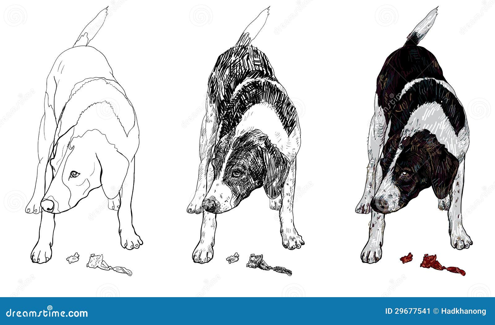 Dog with meat stock vector. Illustration of meat, purebred - 29677541