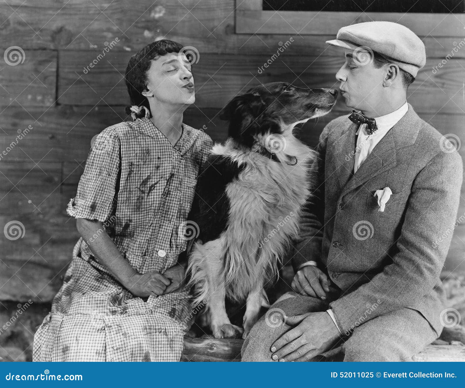 Dog Interrupting Stock Photos - Free & Royalty-Free Stock Photos from ...