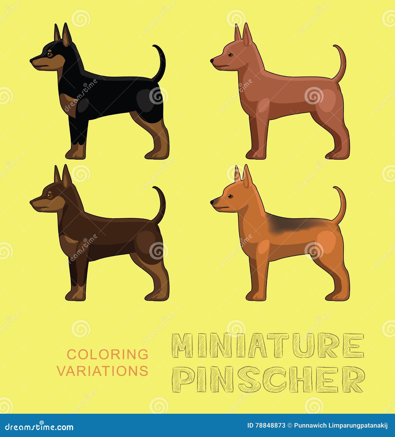 Dog Miniature Pinscher Coloring Variations Vector Illustration Stock ...