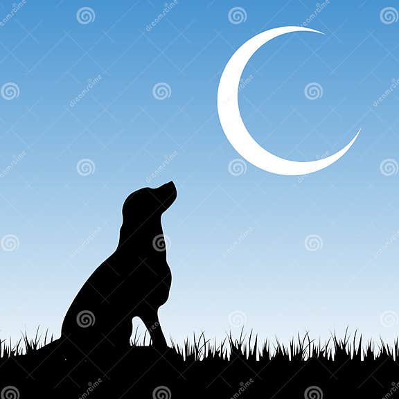 Dog and moon stock illustration. Illustration of mother - 12743457