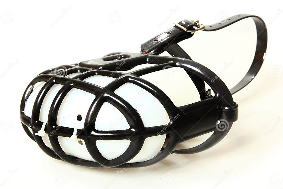 Dog Muzzle with Stool Guard Stock Photo - Image of barrel, protection ...