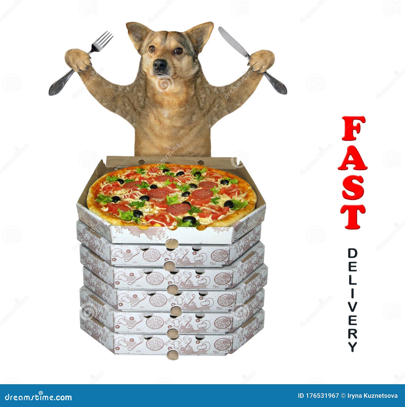 Dog Near Stack of Boxes with Pizza Stock Image - Image of deliver ...