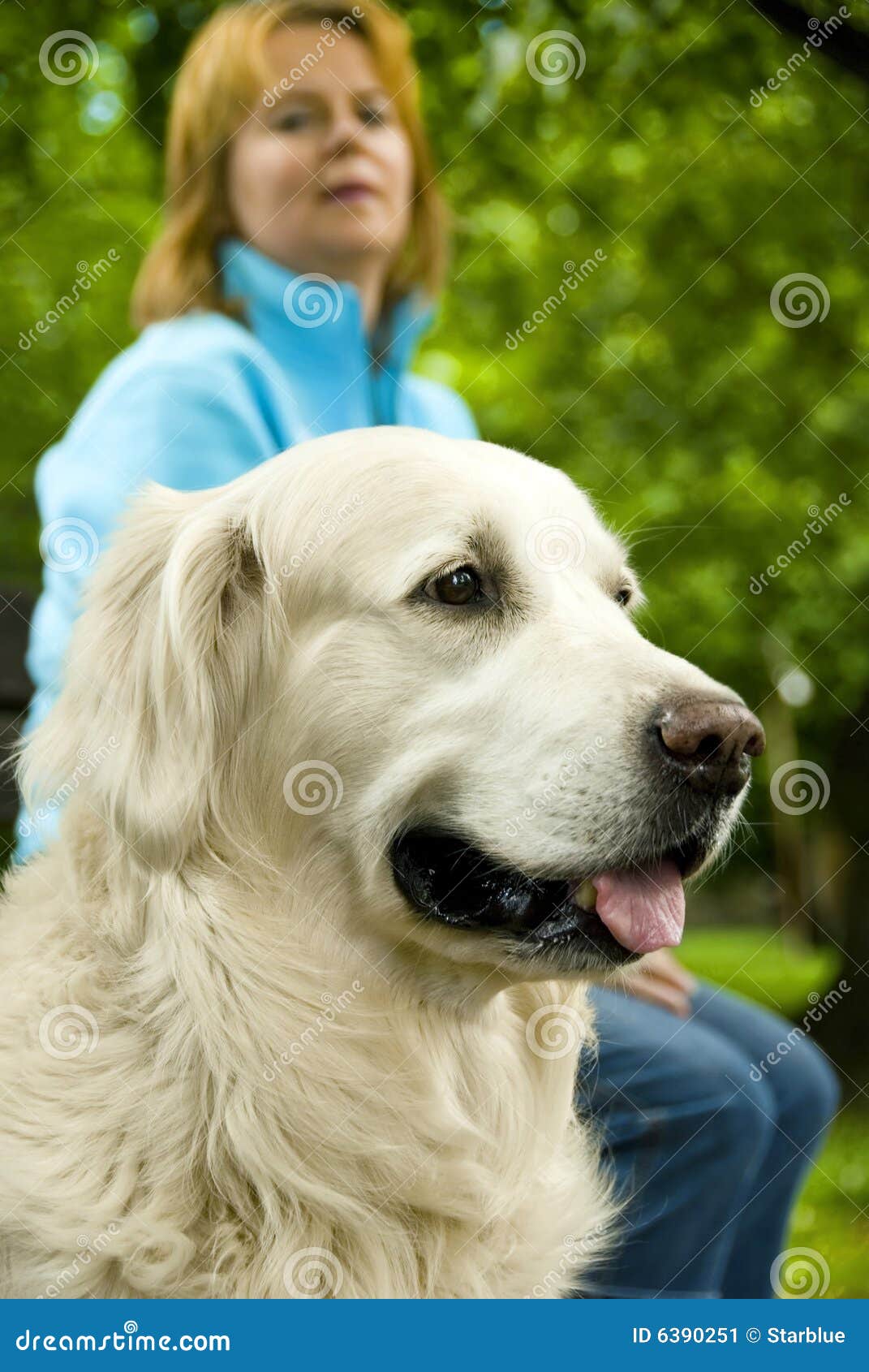 Dog with owner stock image. Image of park, together, friendship - 6390251