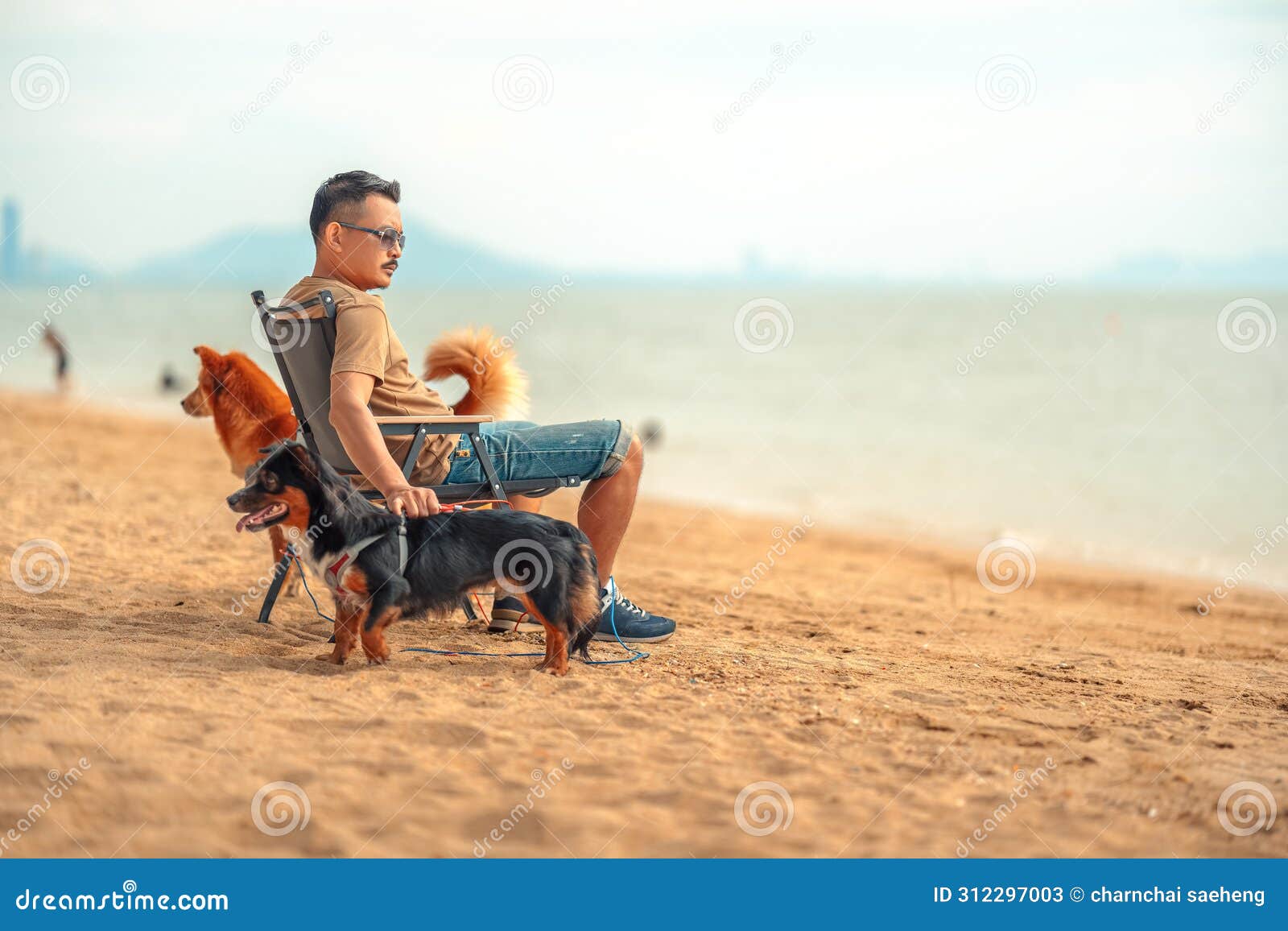 Dog Owner Sitting on a Chair on the Beach and See Sunset Stock Image ...
