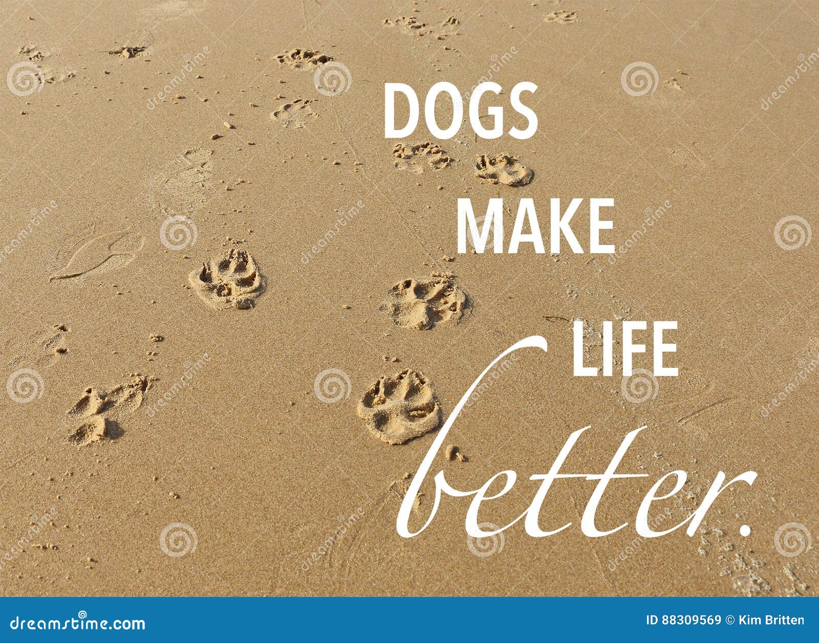 Dog Paw Prints in the Sand on the Beach with Quote Stock Image - Image ...