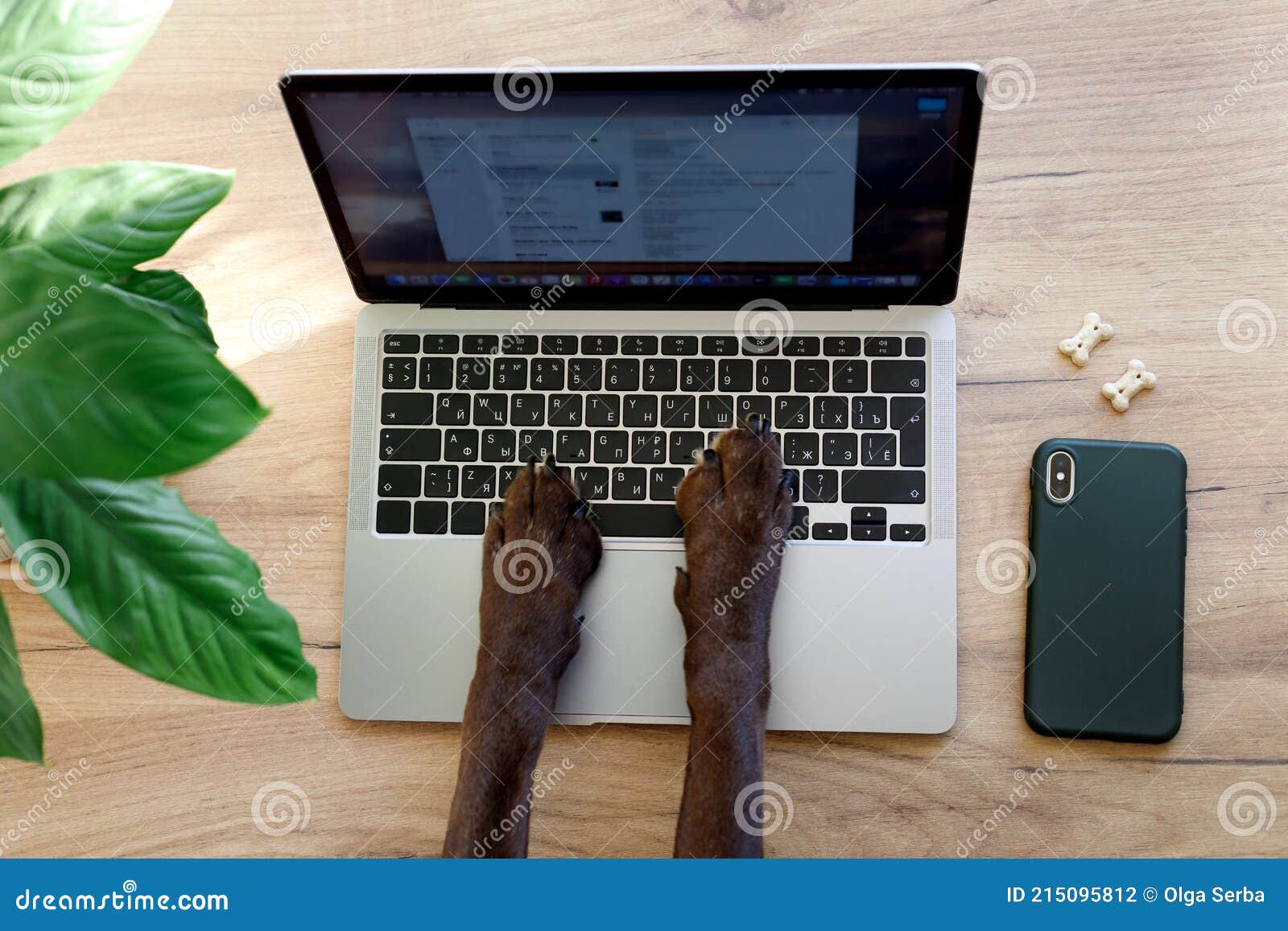 Dog Paws Typing on Laptop Keyboard Document or Note Stock Photo - Image ...