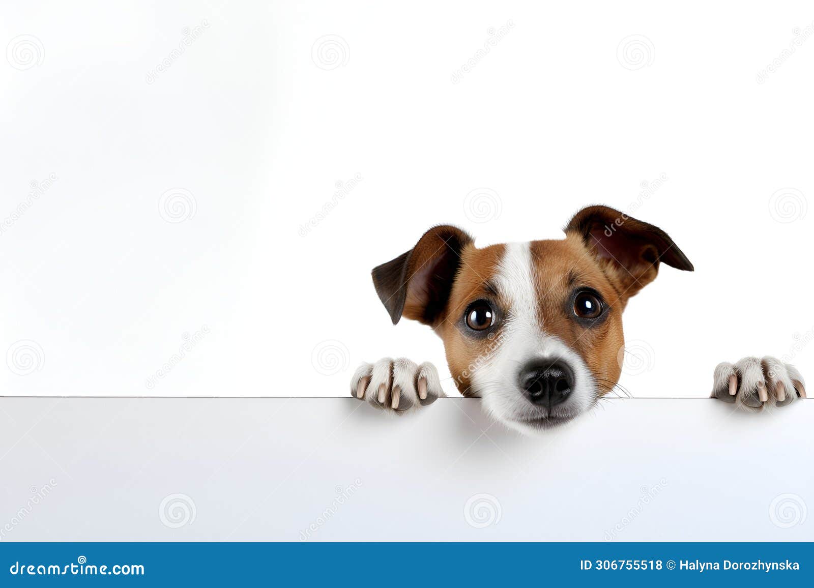 Dog Peeking Over White Edge. Web Banner Stock Illustration ...