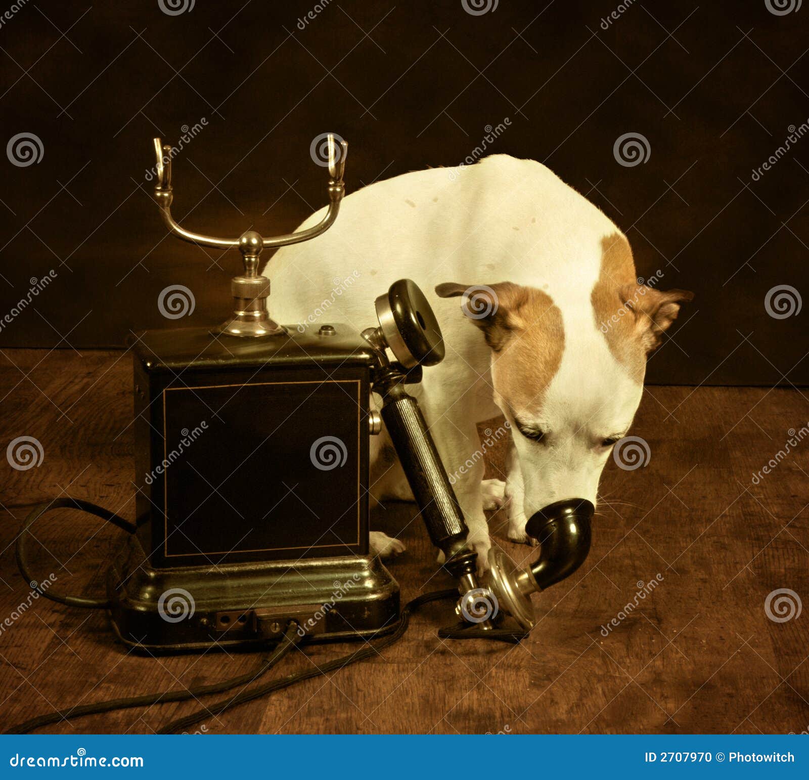 Dog on the phone stock photo. Image of dogs, retro, call - 2707970