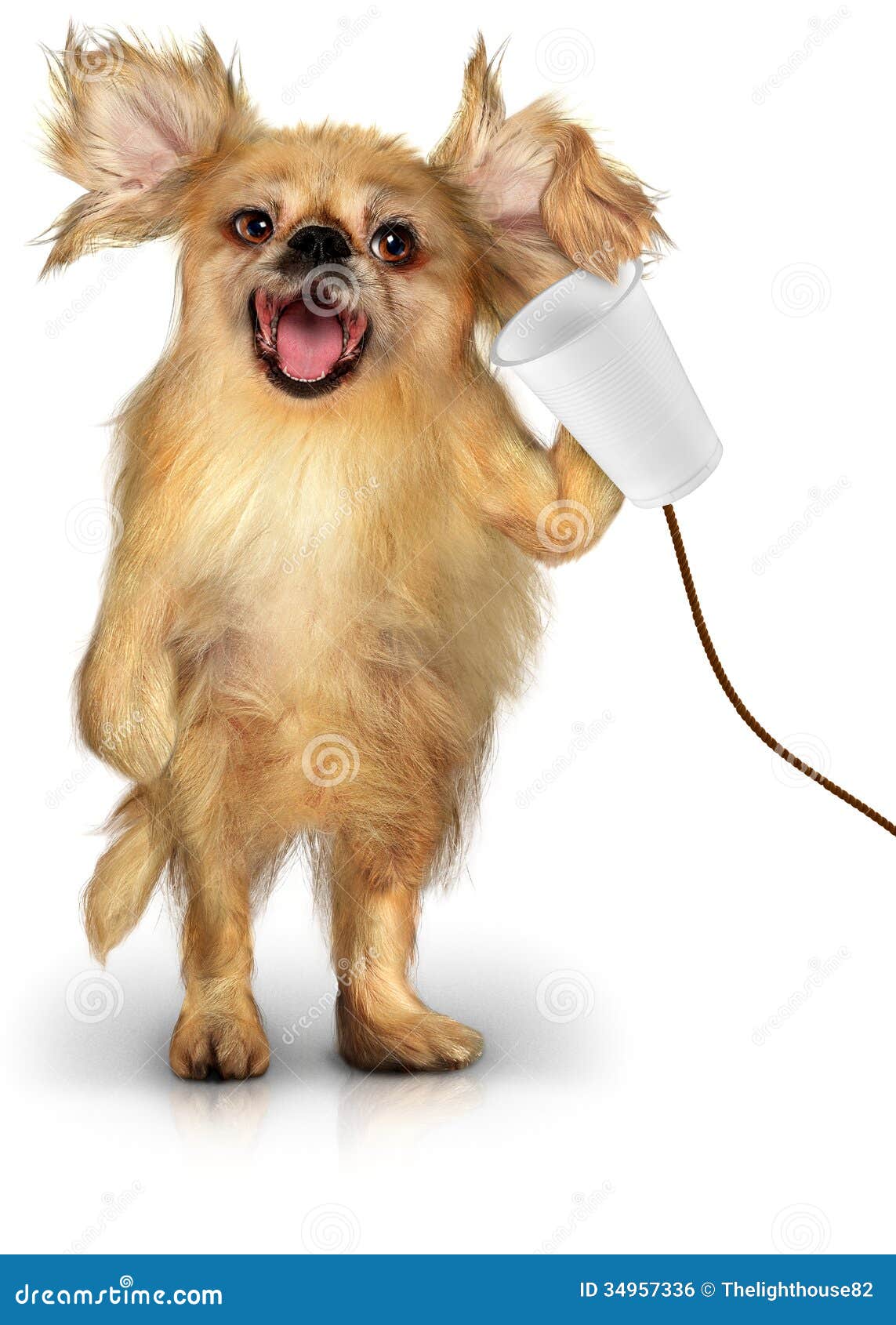 Dog with phone stock photo. Image of business, happy - 34957336