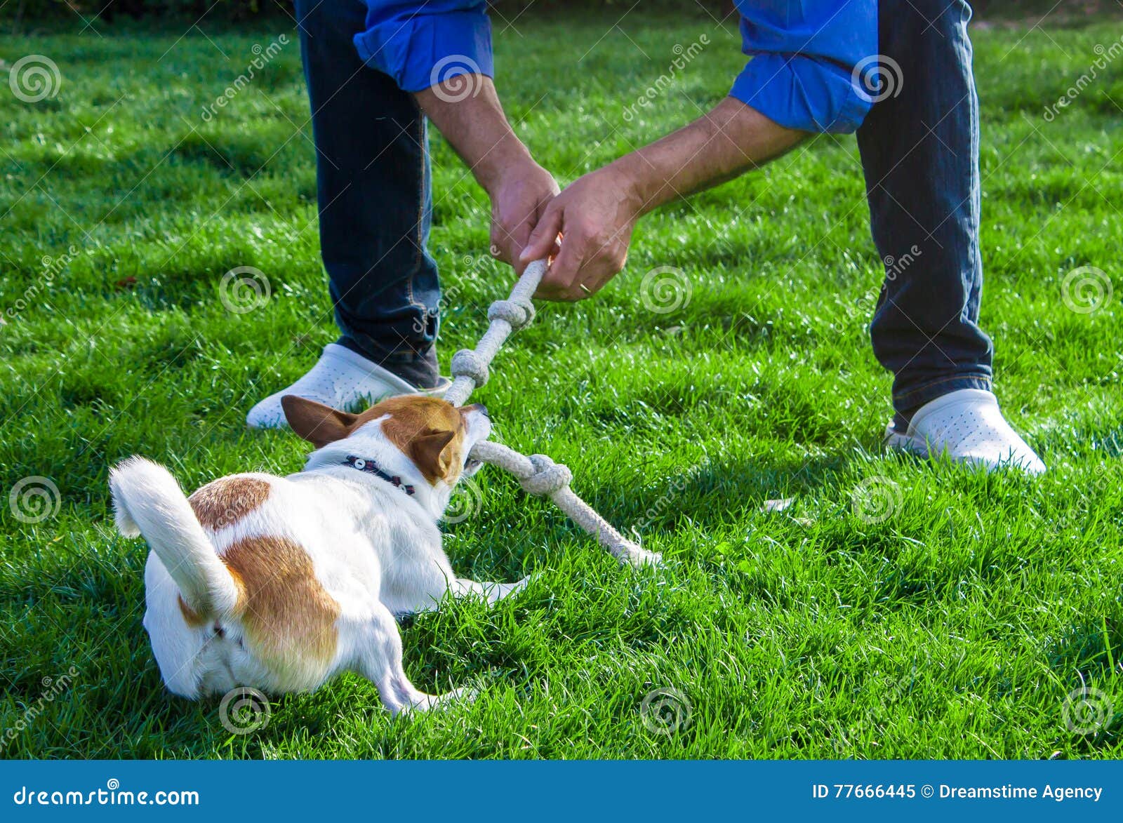 Pulling Rope Royalty-Free Stock Photo | CartoonDealer.com #30479307