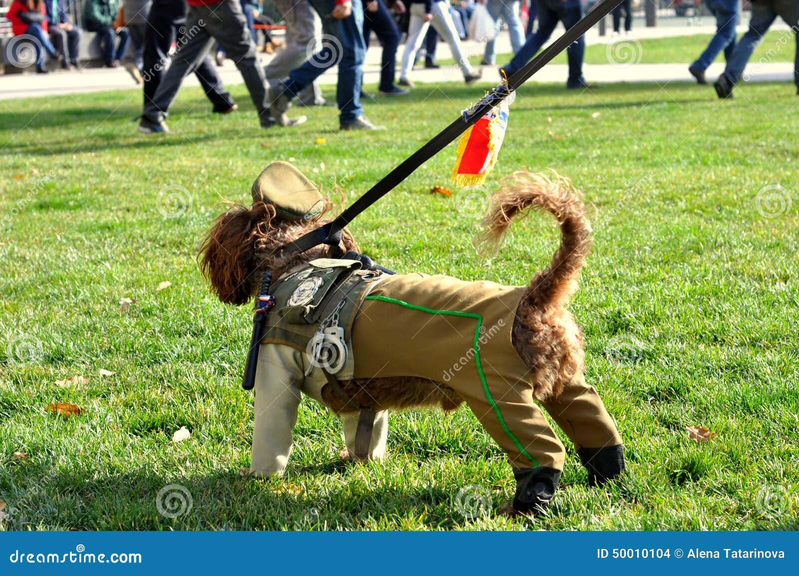 Dog in police uniform stock photo. Image of suit, srteet - 50010104