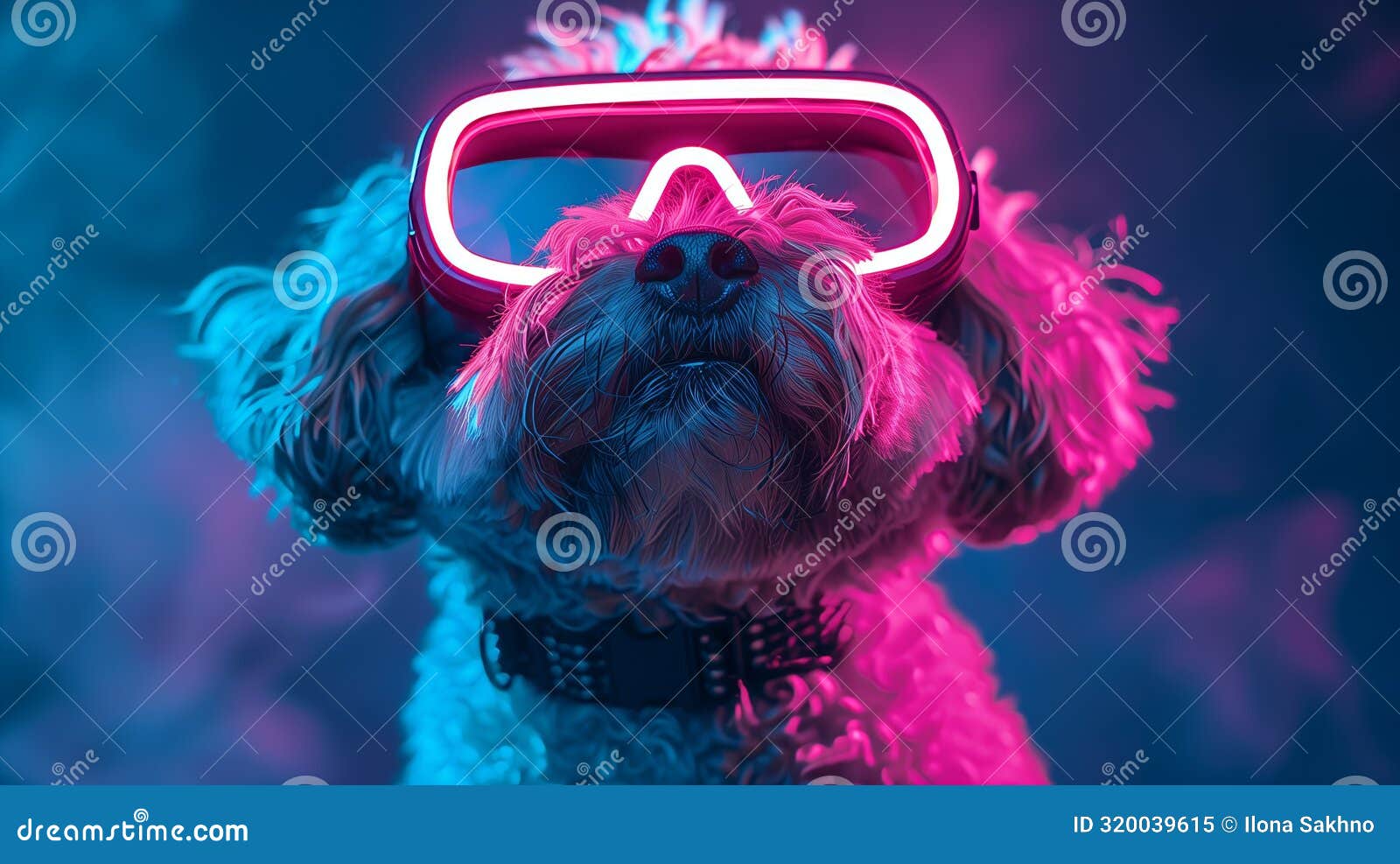 Dog, Poodle with Glasses in Neon Light Stock Illustration ...