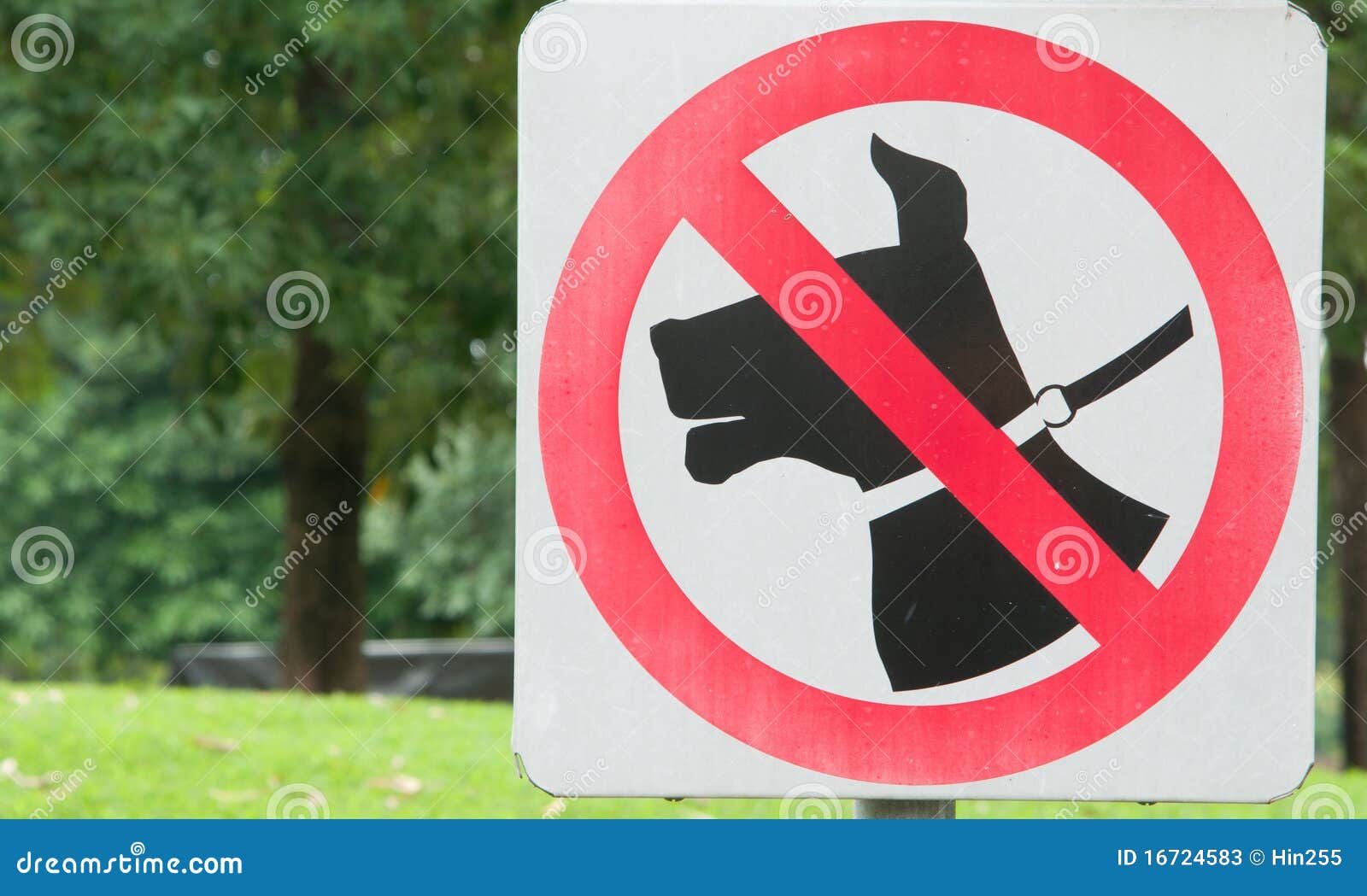 Dog prohibited sign stock image. Image of notice, active - 16724583