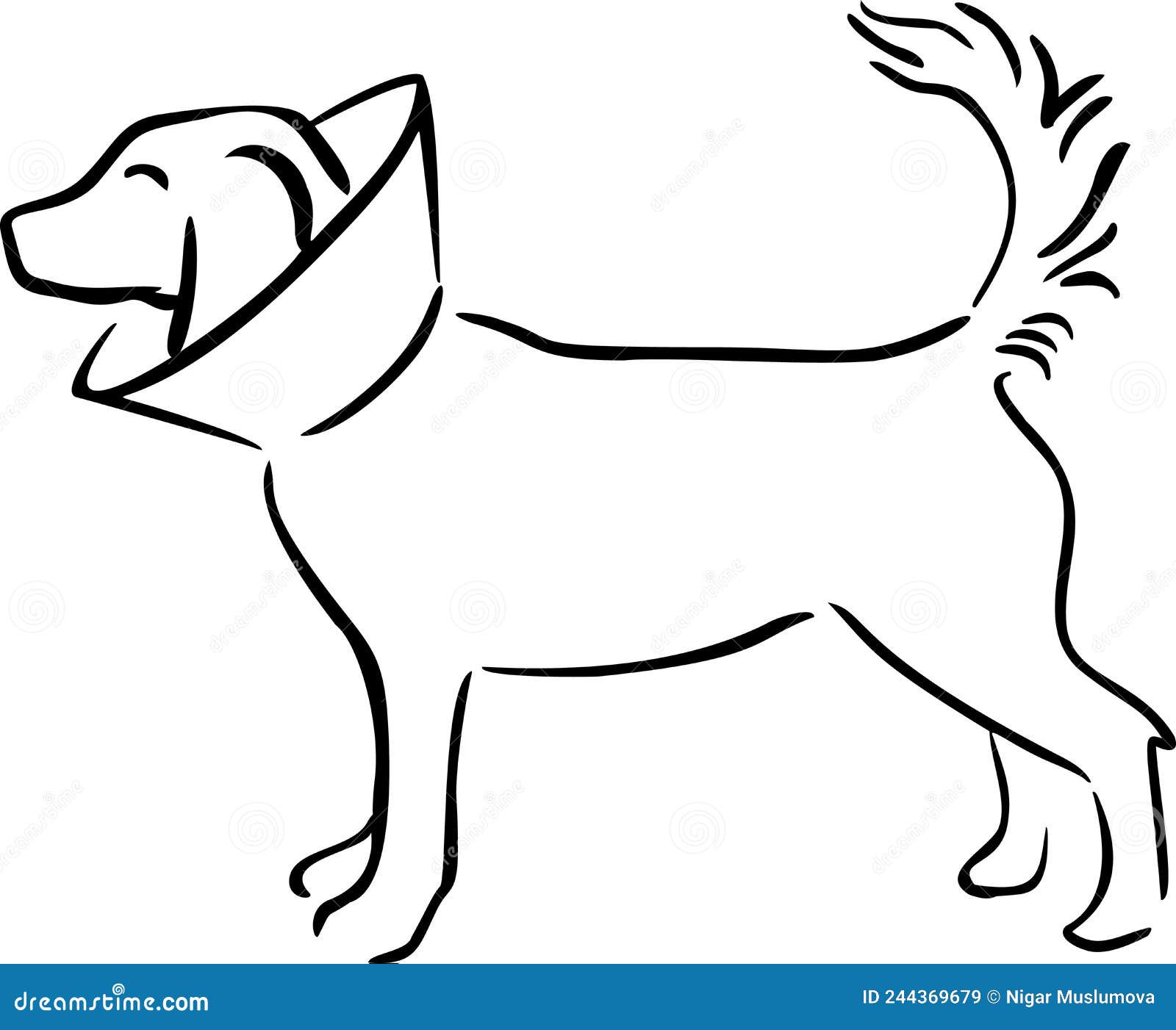 Dog in Protective Harness Hand Draw Vector Illustration Stock Vector ...