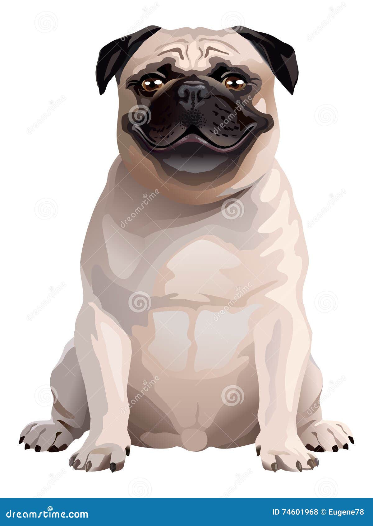 Smile Dog. Pug stock vector. Illustration of mammals - 74601968