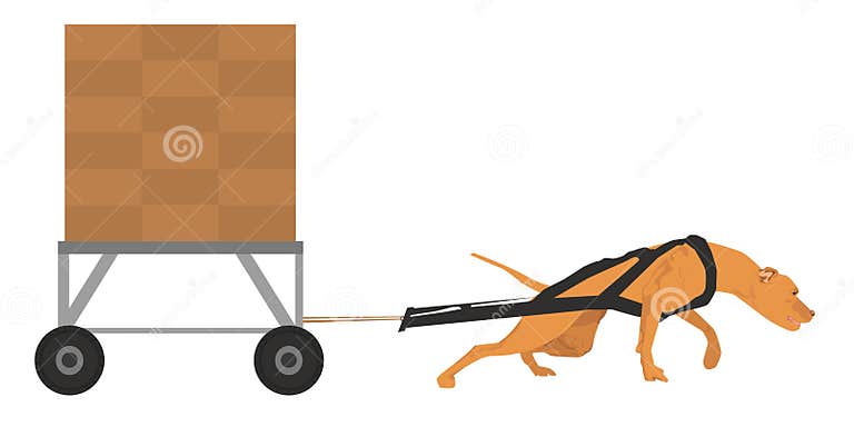 Dog Pulling Sport Vector Illustration. Stock Vector - Illustration of ...