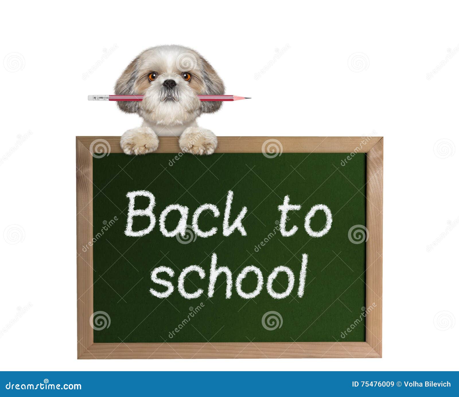 Dog Pupil with Pencil Back To School Stock Image - Image of elementary ...