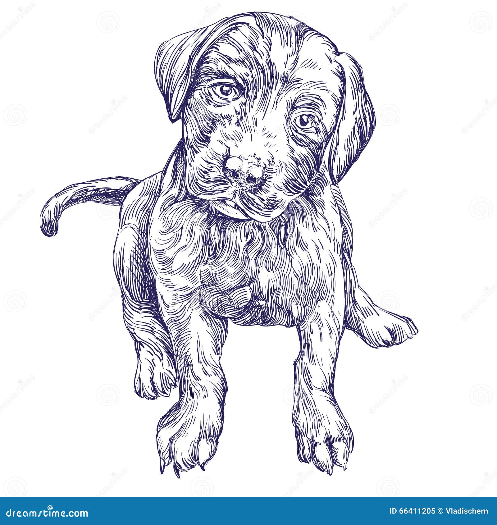 Puppy Dog Hand Drawn Sketch. Cartoon Vector | CartoonDealer.com #76261083