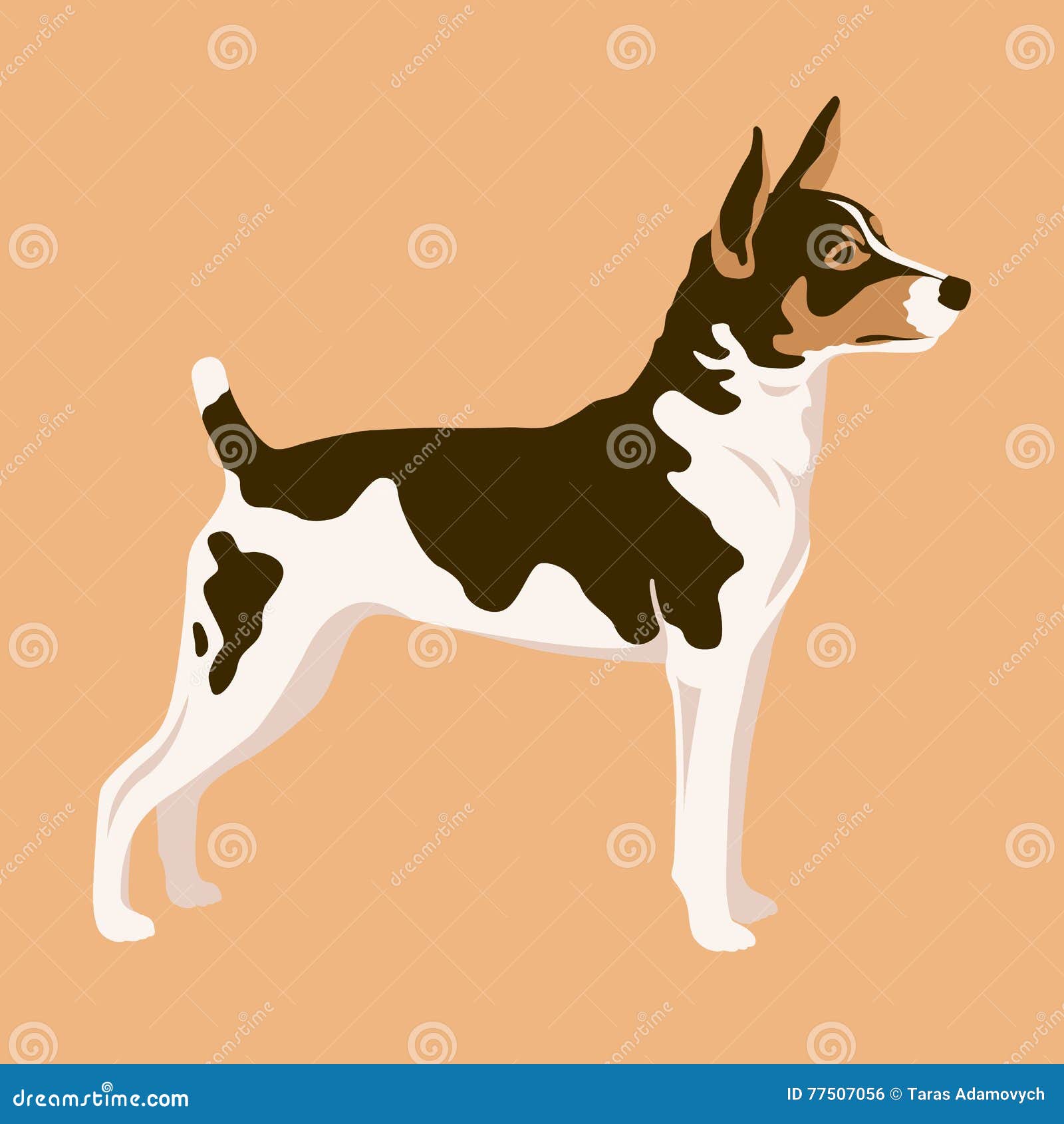 Dog Rat Terrier Vector Style Flat Stock Vector - Illustration of ...