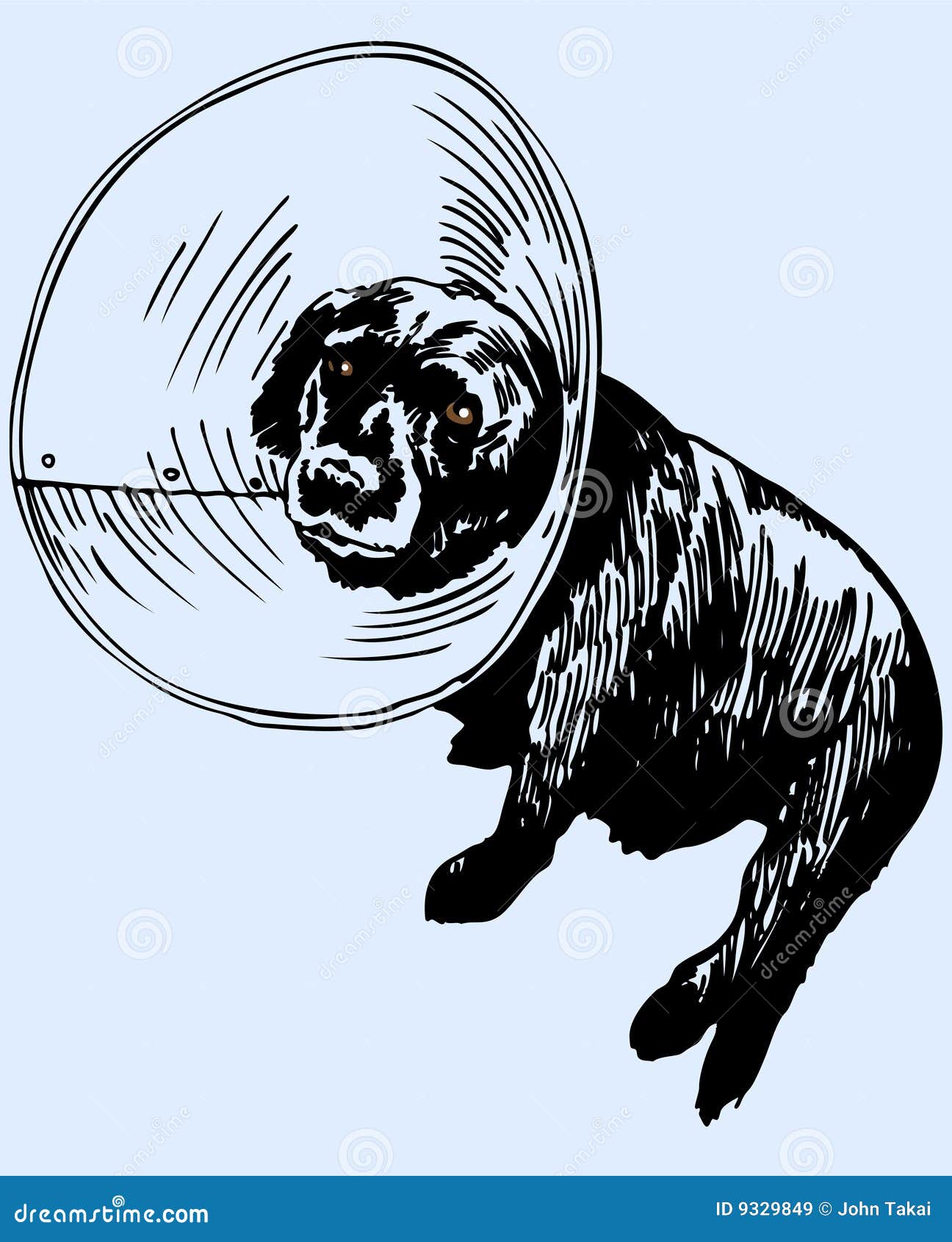 Dog returns from vet stock vector. Illustration of black - 9329849 Dog returns from vet stock vector. Illustration of black - 9329849