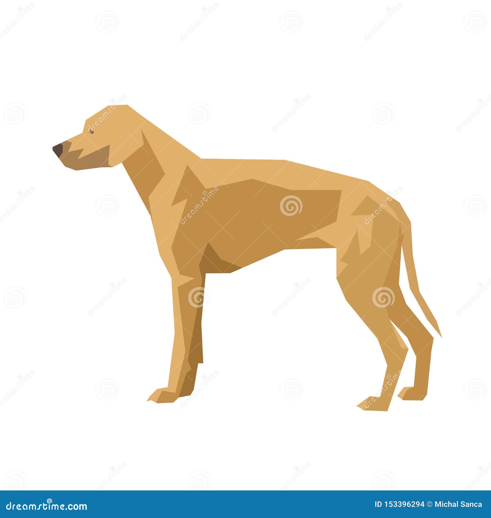 Dog, Rhodesian Ridgeback, Isolated Geometric Vector Illustration Stock ...