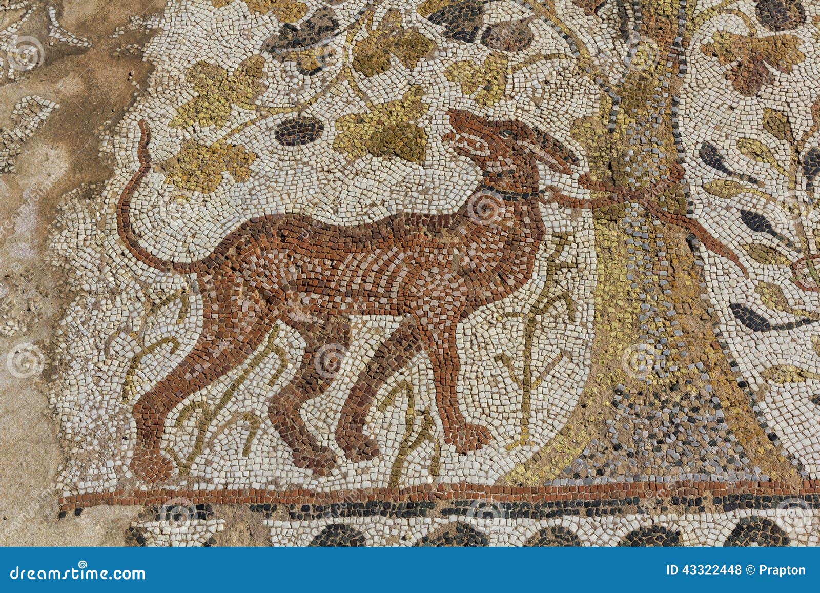 Dog on the roman mosaic stock photo. Image of mosaic - 43322448