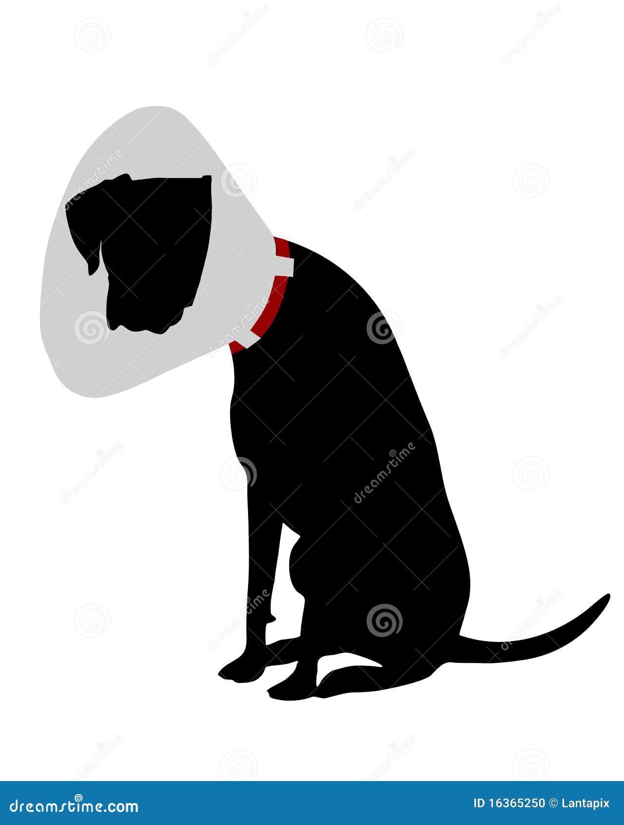Ruff Collar Stock Illustrations – 21 Ruff Collar Stock Illustrations ...