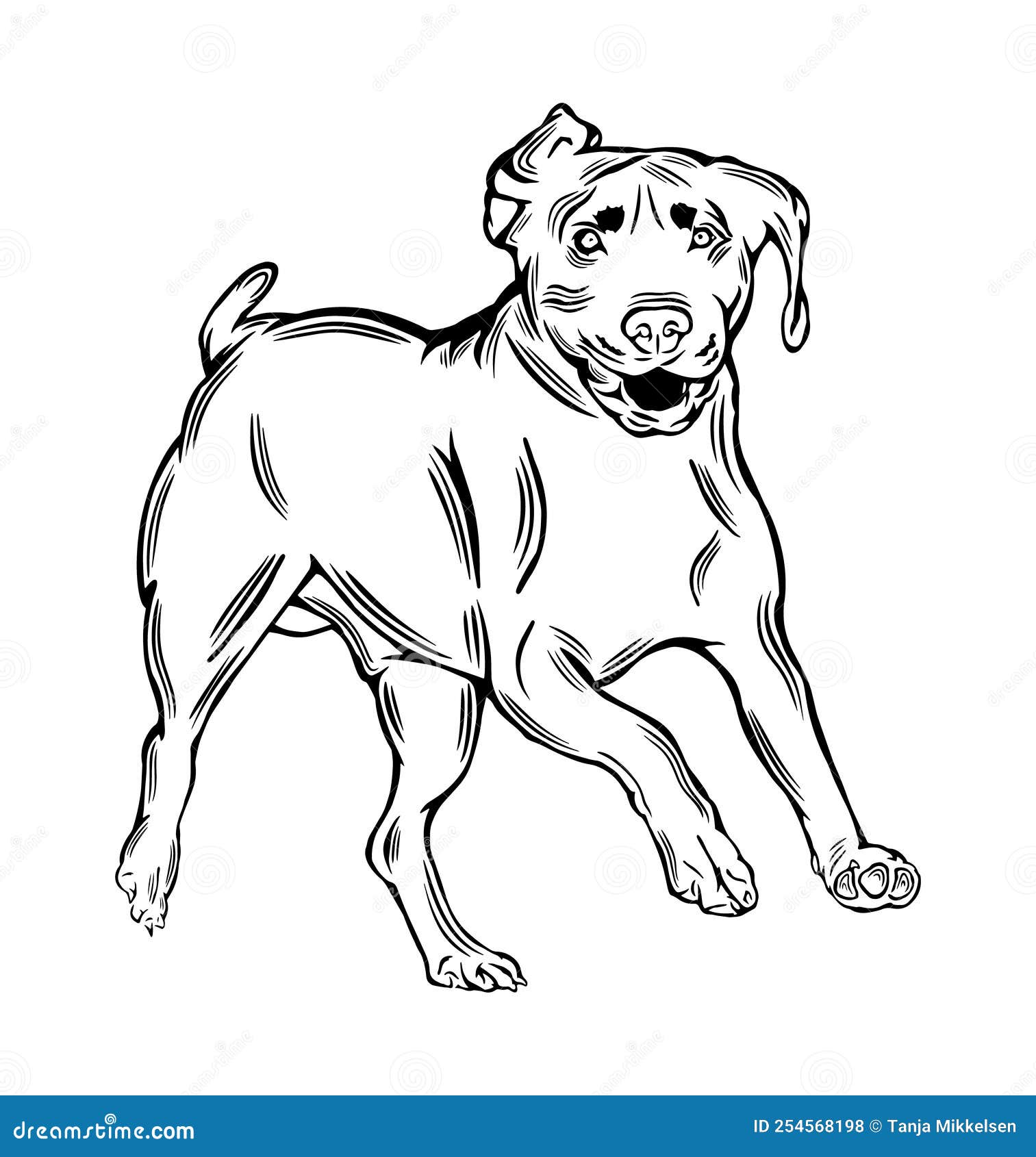 Dog running. Vector ~ stock vector. Illustration of canine - 254568198