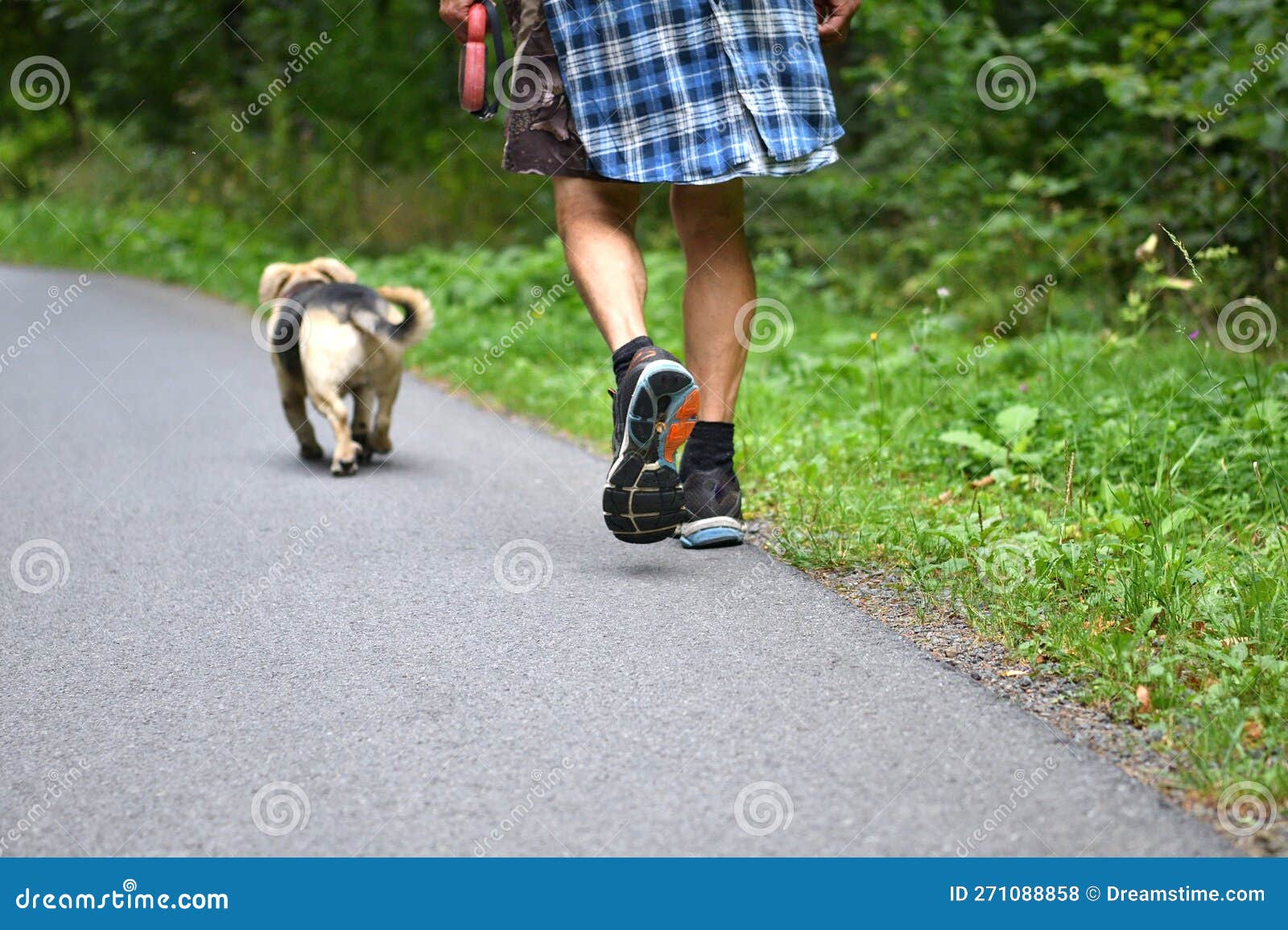 A Dog Runs Around the Legs of Hikers in Nature on a Hike Stock Photo ... A Dog Runs Around the Legs of Hikers in Nature on a Hike Stock Photo ...